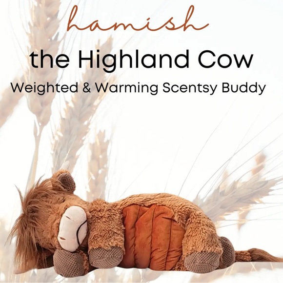 Scentsy | Accents | Scentsy Highland Cow Weighted Buddy | Poshmark